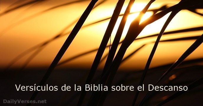12 Versículos De La Biblia Sobre El Descanso Rvr95 And Rvr60