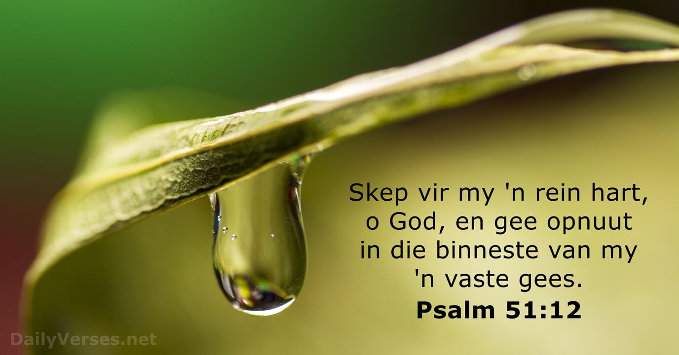 16 September 2022 Bybelvers Van Die Dag Psalm 51 12 DailyVerses