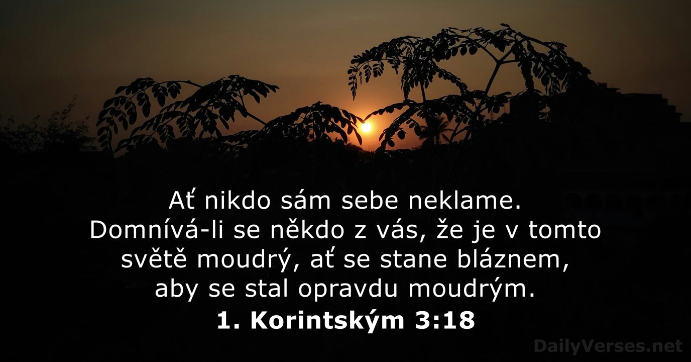 13. ledna 2026 - Biblický verš dne - DailyVerses.net