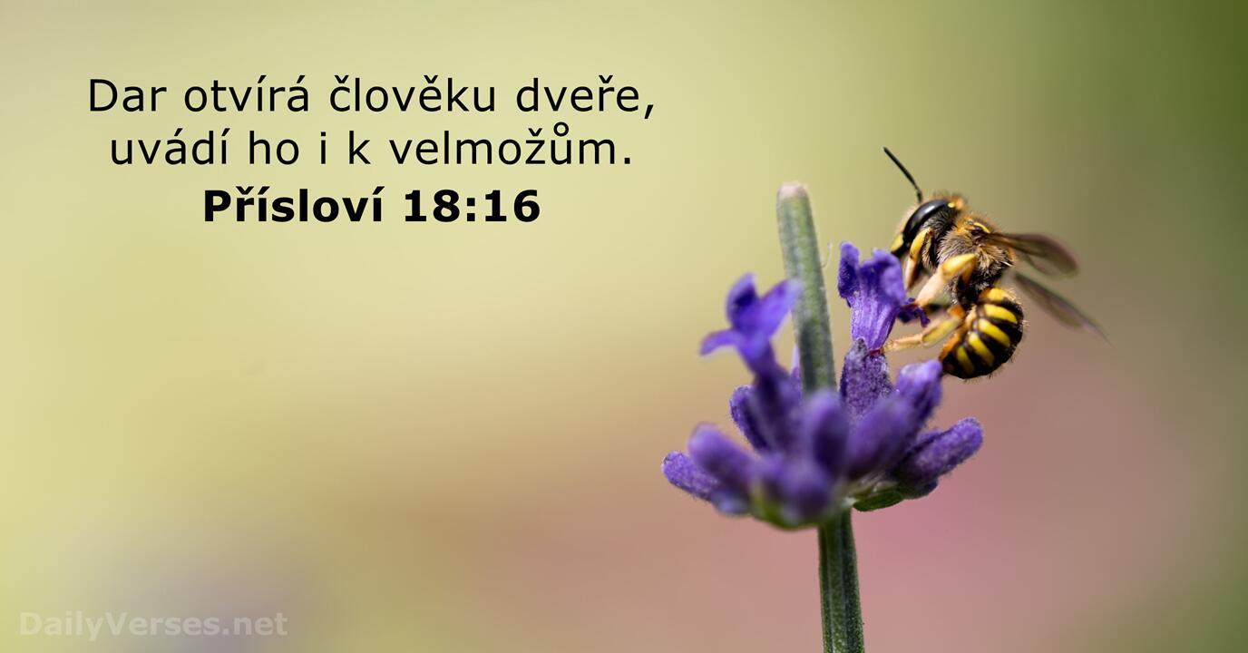 24 Ledna 2022 Biblick Ver Dne P slov 18 16 DailyVerses