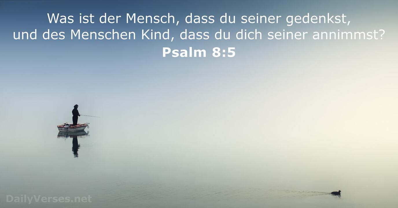 Psalm 8 5 Bibelvers DailyVerses