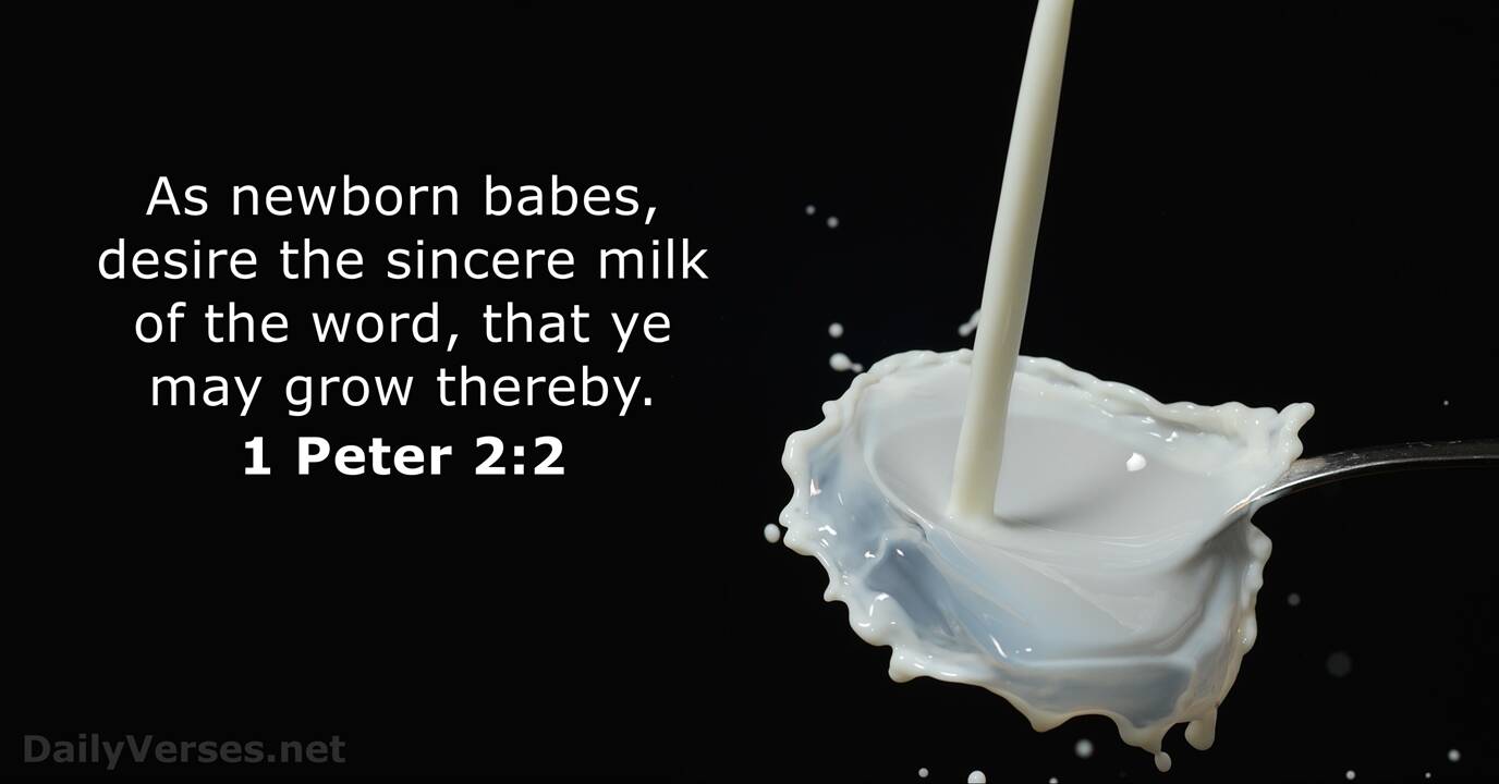 1 Peter 2 2 Bible Verse KJV DailyVerses