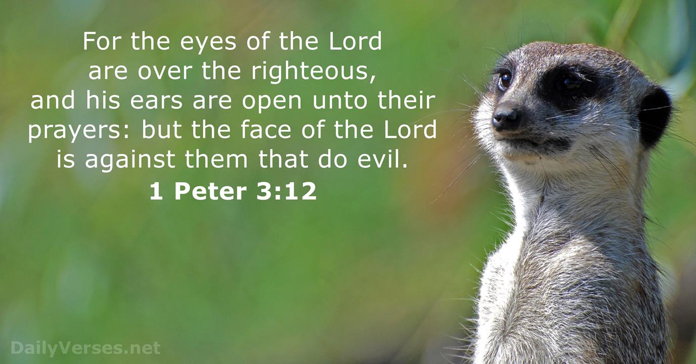 45 Bible Verses About Evil KJV 2 2 DailyVerses 45 Bible Verses About Evil KJV 2 2 DailyVerses