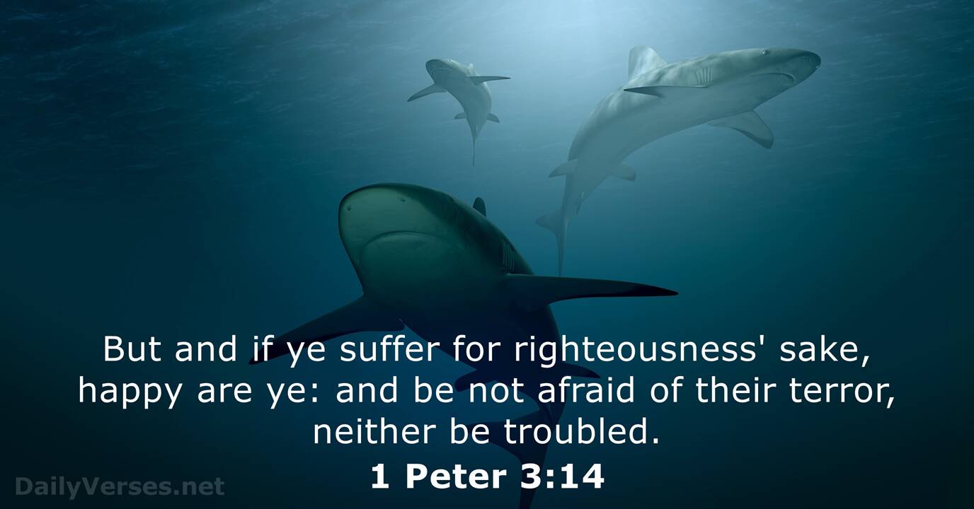 1 Peter 3 14 Bible Verse KJV DailyVerses