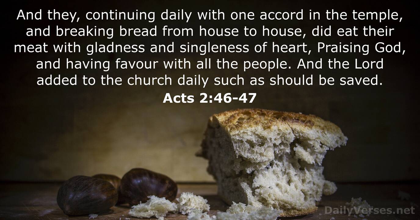 Acts 2 46 47 Bible Verse KJV DailyVerses