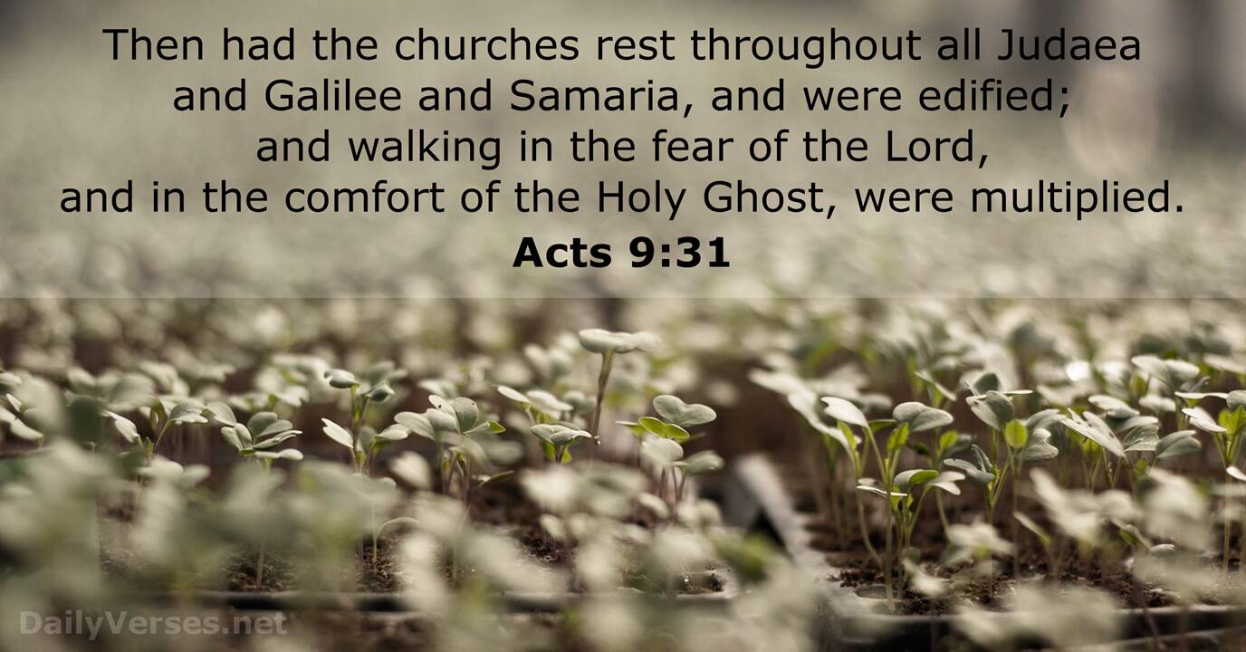 Acts 9 NLT KJV DailyVerses Acts 9 NLT KJV DailyVerses