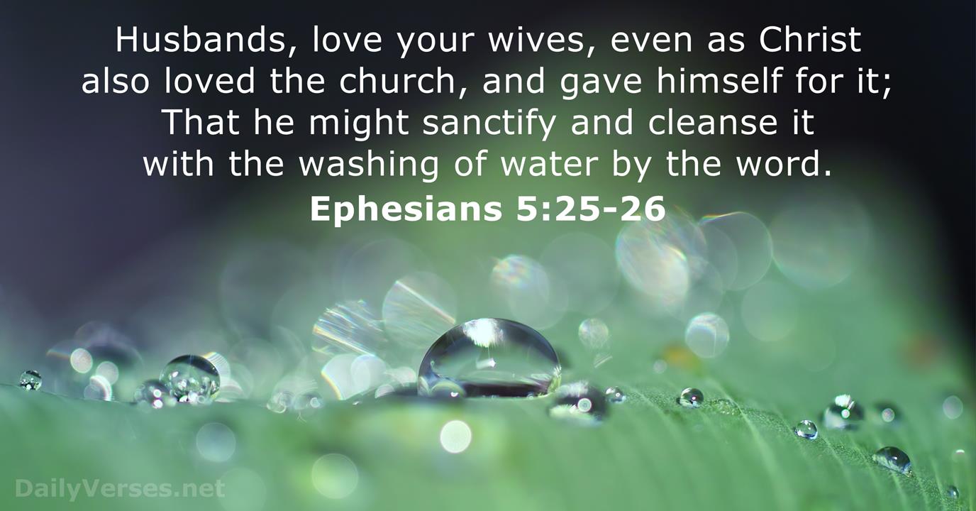 February 3 2020 Bible Verse Of The Day KJV Ephesians 5 25 26