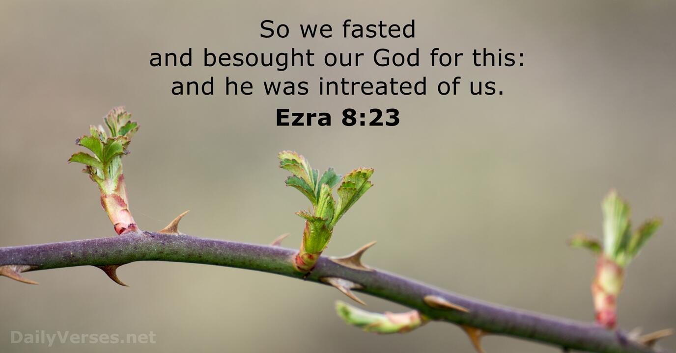 Ezra 8 KJV NLT DailyVerses Ezra 8 KJV NLT DailyVerses