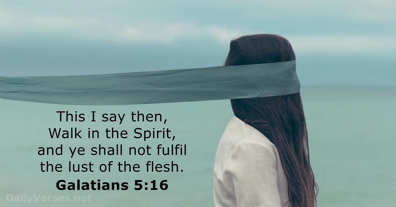 Galatians 5 16 Bible Verse KJV DailyVerses