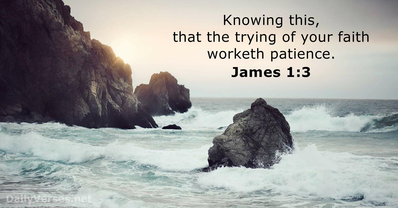 James 1 3 ESV Bible Verse Of The Day DailyVerses