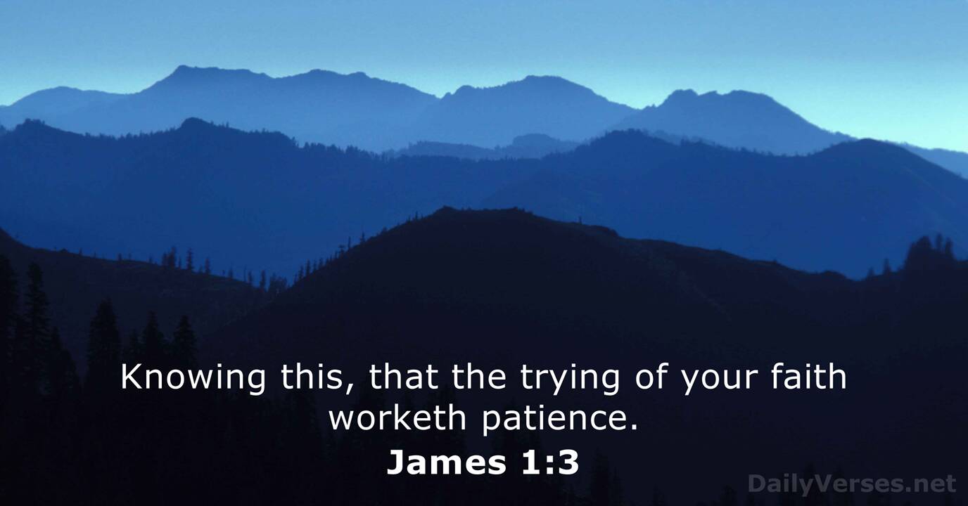 James 1 3 Bible Verse KJV DailyVerses