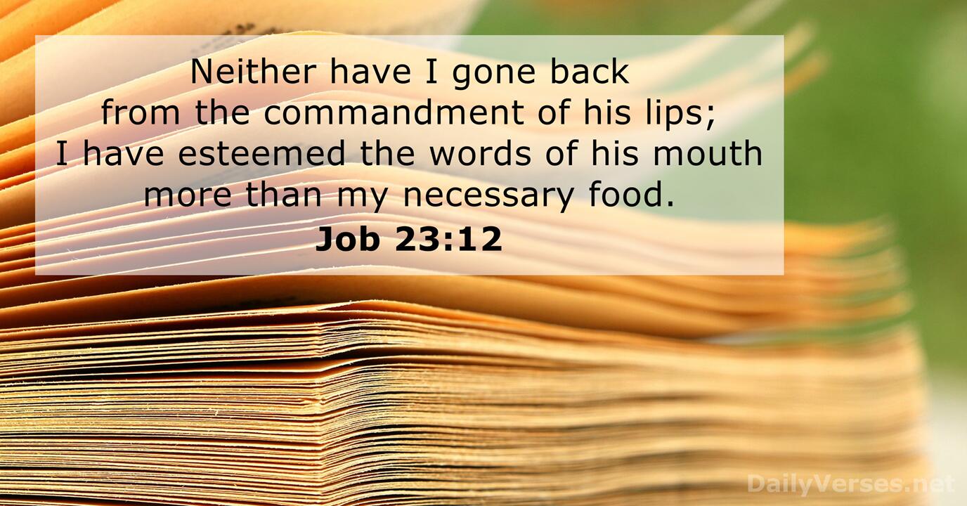 January 6 2023 Bible Verse Of The Day KJV Job 23 12