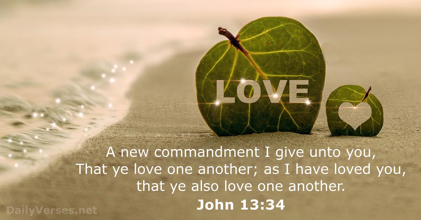 John 13 34 Bible Verse KJV DailyVerses