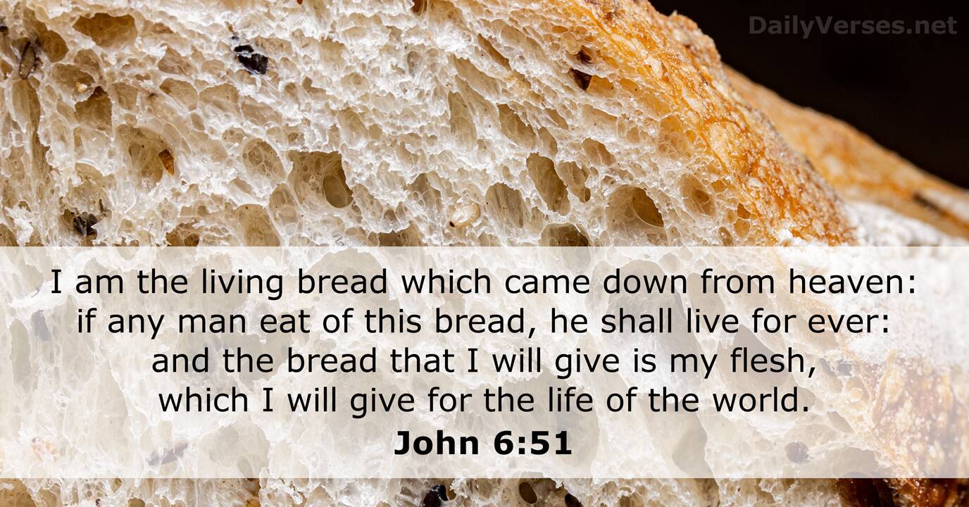 December 11 2020 Bible Verse Of The Day KJV John 6 51