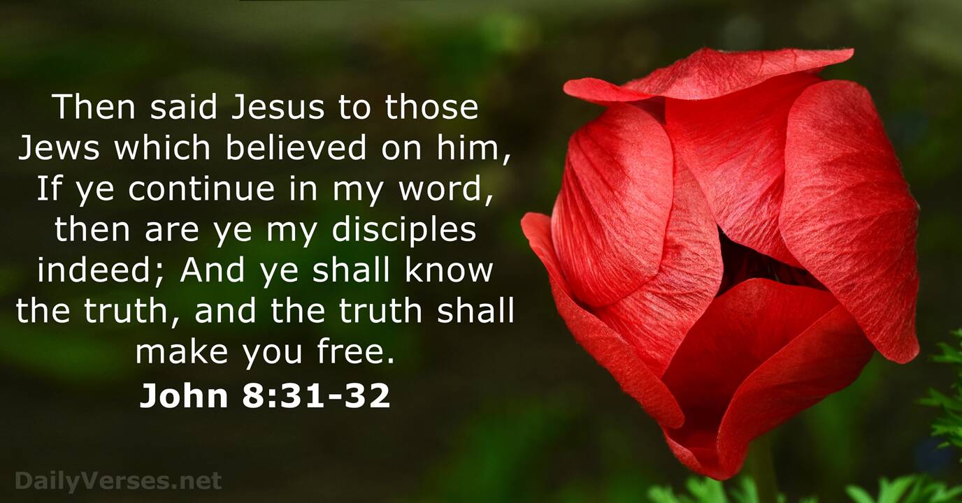 John 8 31 32 Bible Verse KJV DailyVerses