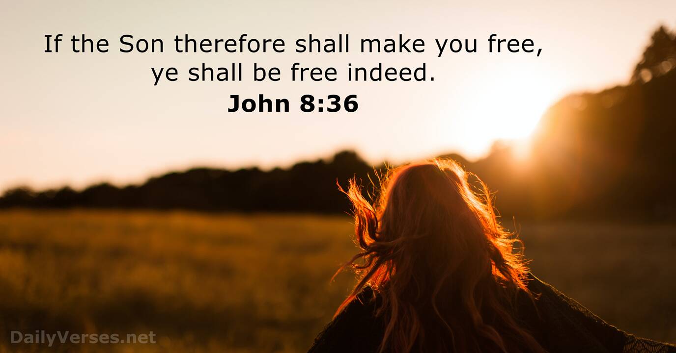 John 8 36 Bible Verse KJV DailyVerses