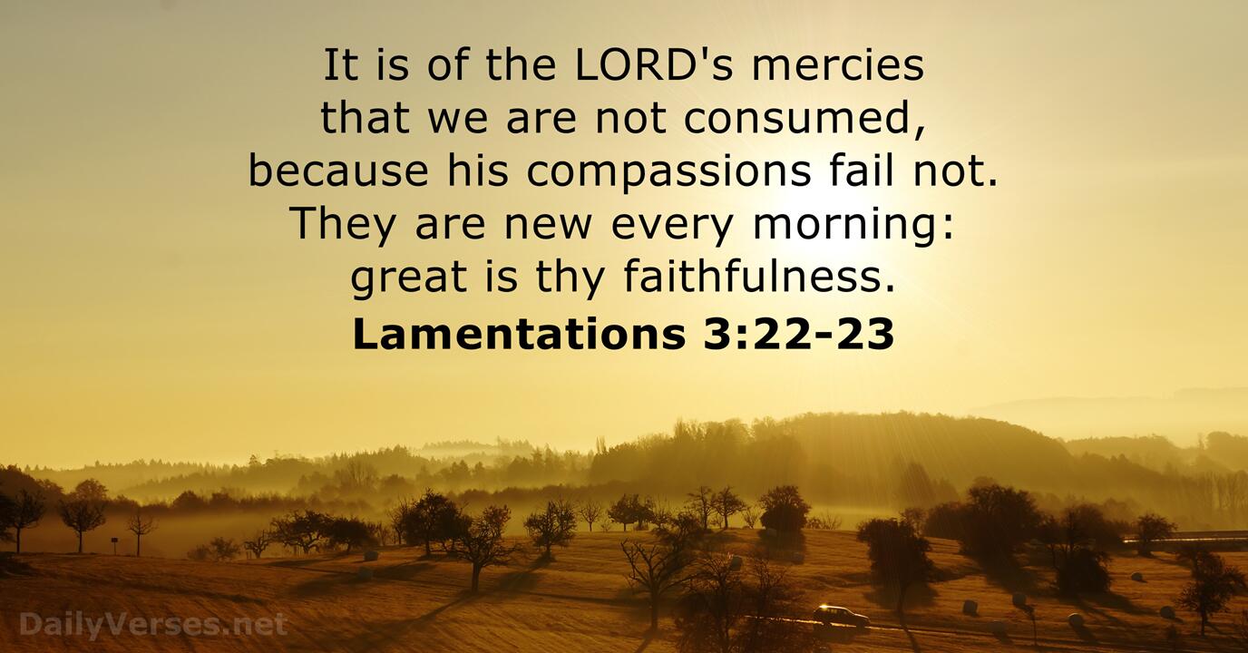 Lamentations KJV NASB DailyVerses