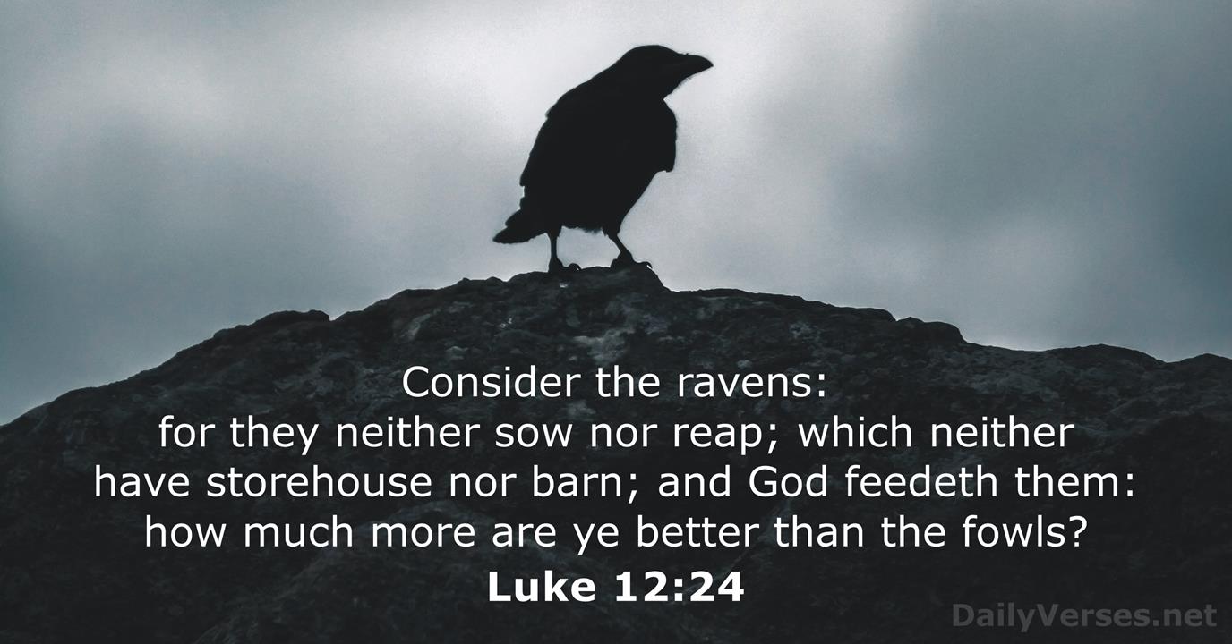 November 5 2020 Bible Verse Of The Day KJV Luke 12 24