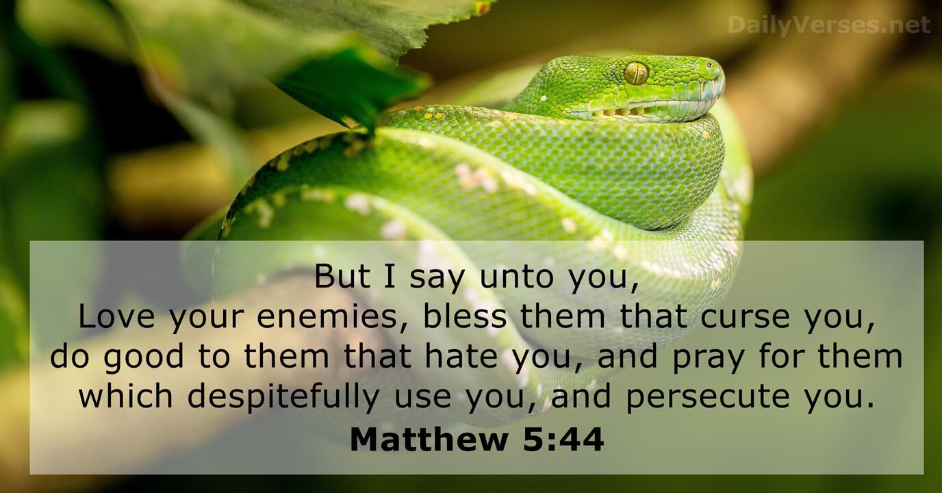 February 12 2020 Bible Verse Of The Day KJV Matthew 5 44 