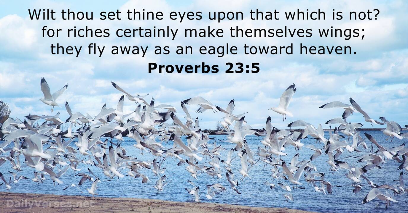Proverbs 23 5 Bible Verse KJV DailyVerses Proverbs 23 5 Bible Verse KJV DailyVerses