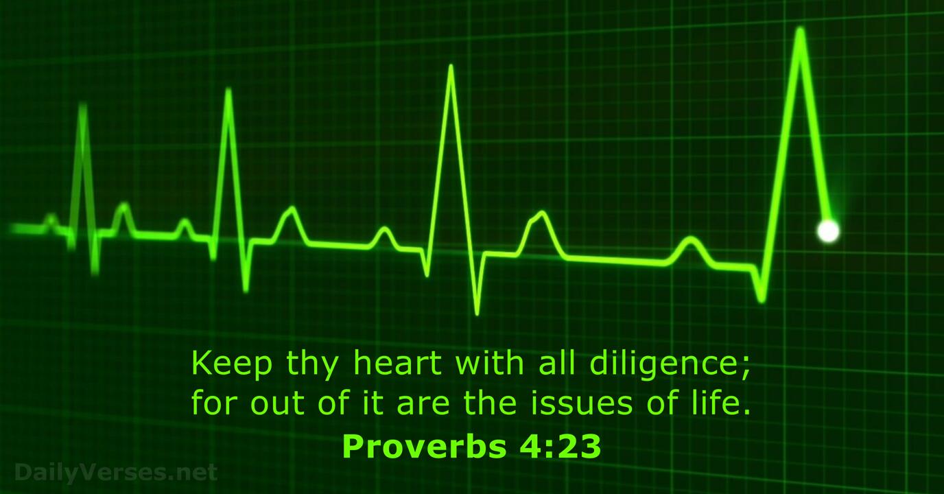 August 29 2024 Bible Verse Of The Day KJV DailyVerses August 29 2024 Bible Verse Of The Day KJV DailyVerses