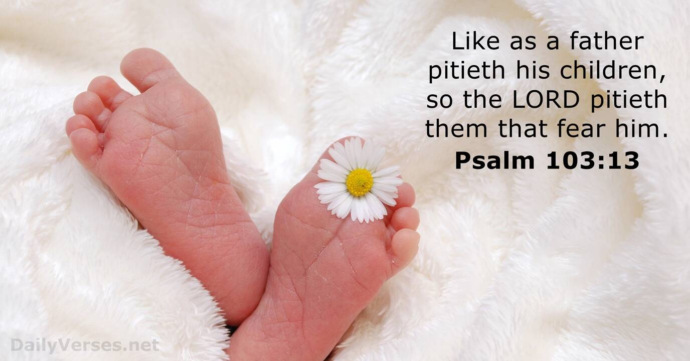 Psalm 103 13 Bible Verse KJV DailyVerses