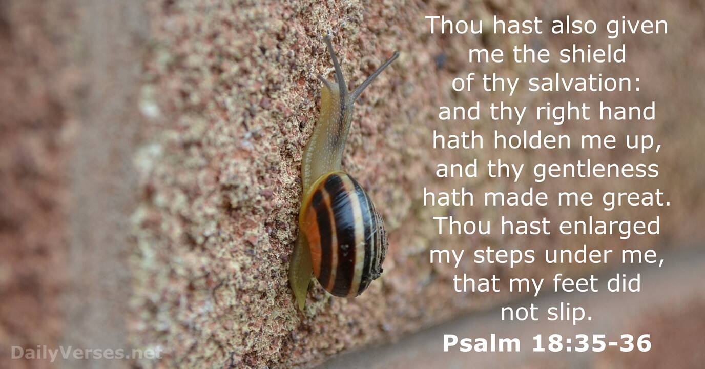 Psalm 18 35 36 Bible Verse KJV DailyVerses