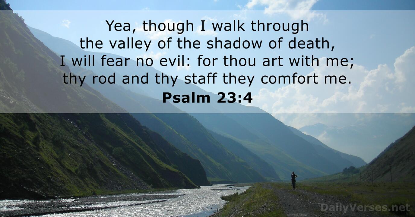 Psalm 23 4 Bible Verse KJV DailyVerses