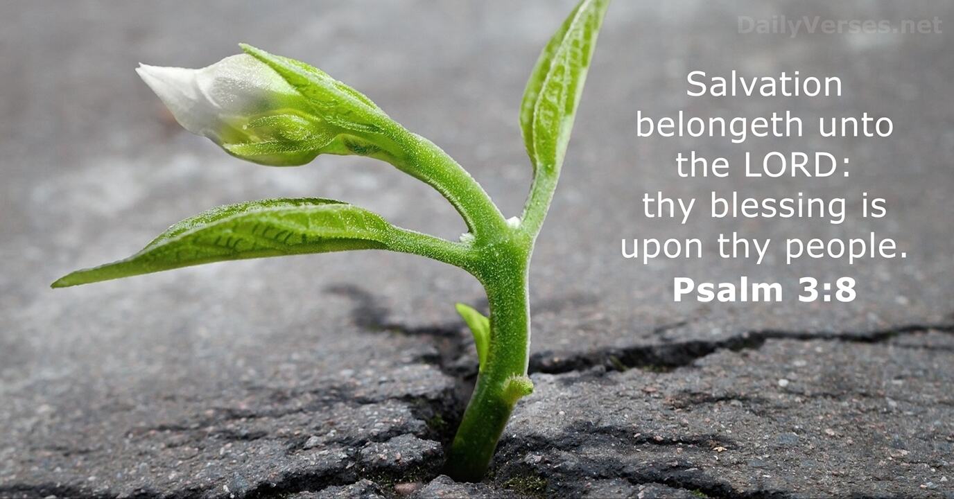 July 8 2023 Bible Verse Of The Day KJV Psalm 3 8 DailyVerses July 8 2023 Bible Verse Of The Day KJV Psalm 3 8 DailyVerses