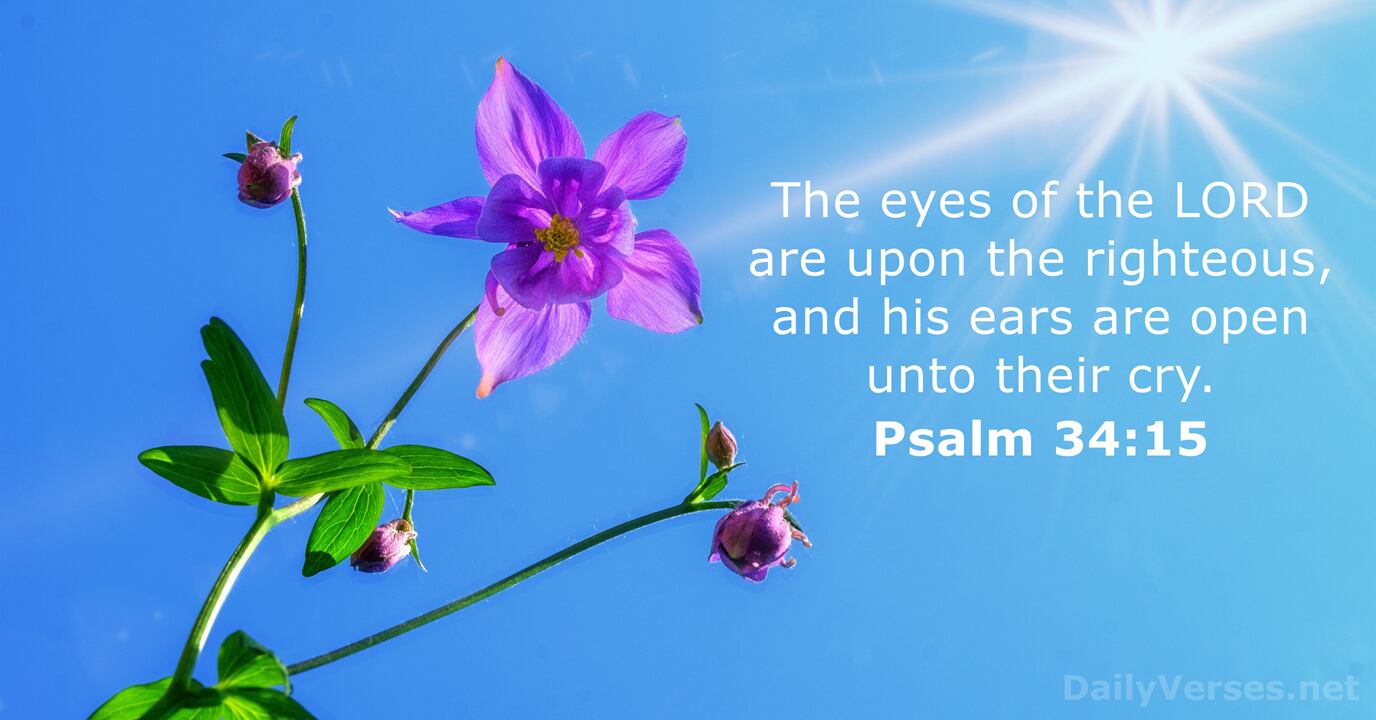 TV And Projector News El Roi The GOD Who Sees Genesis 16 21 1 20 El TV And Projector News El Roi The GOD Who Sees Genesis 16 21 1 20 El