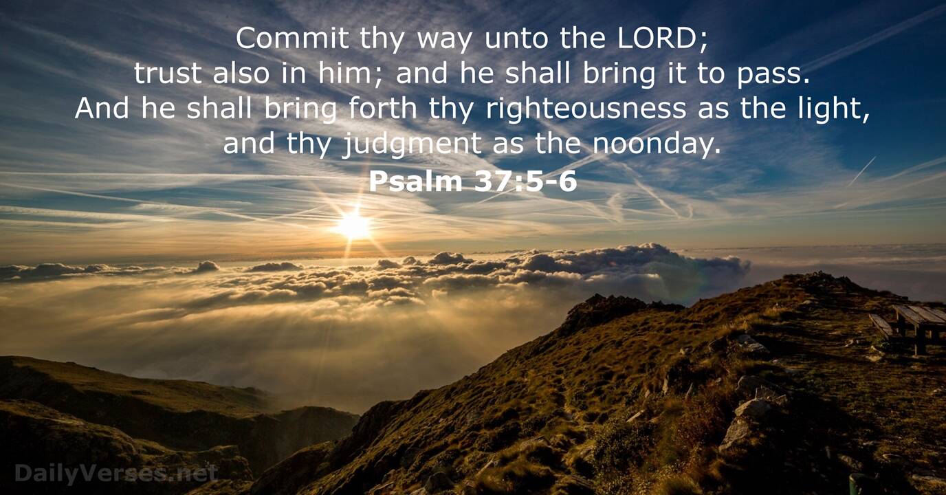 54 Bible Verses About Trust KJV 2 3 DailyVerses