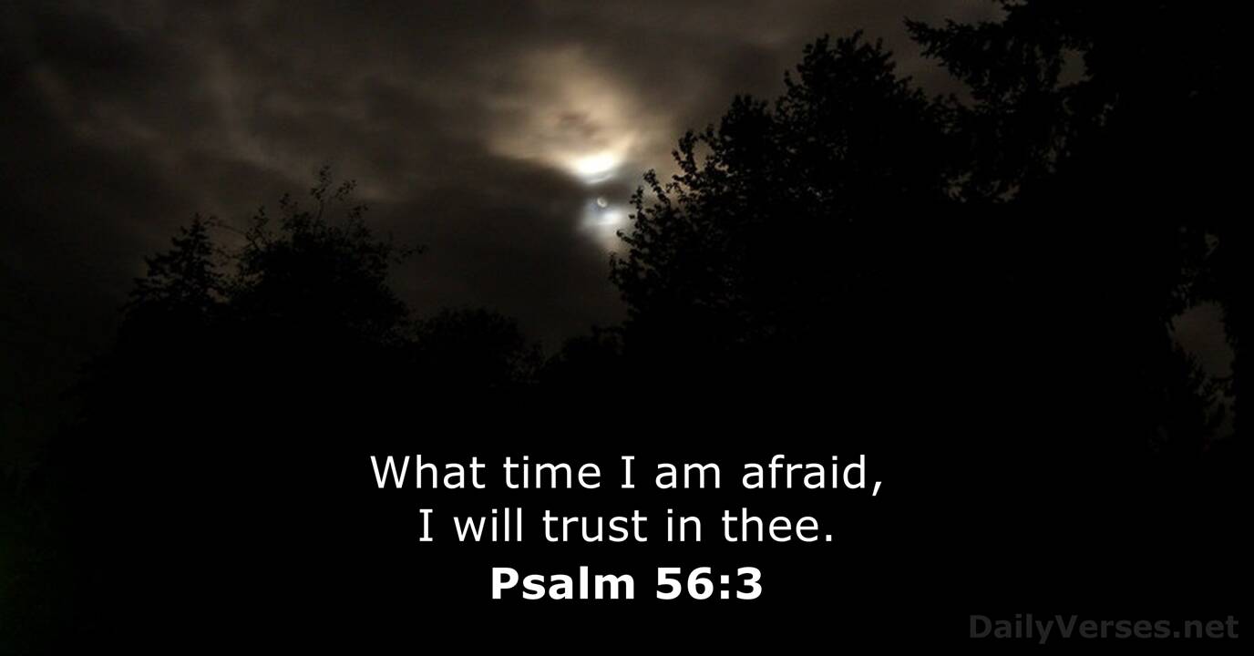 Psalm 56 3 Bible Verse KJV DailyVerses
