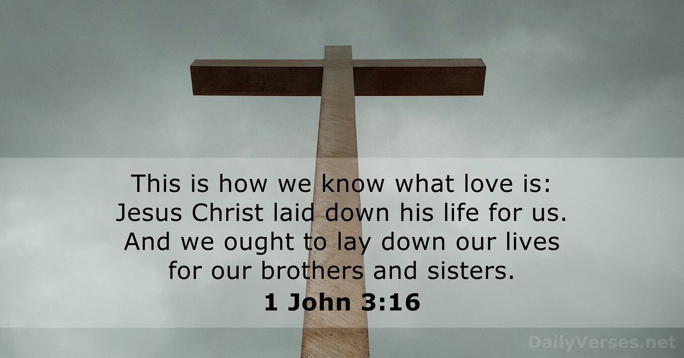 December 14 2024 Bible Verse Of The Day DailyVerses December 14 2024 Bible Verse Of The Day DailyVerses