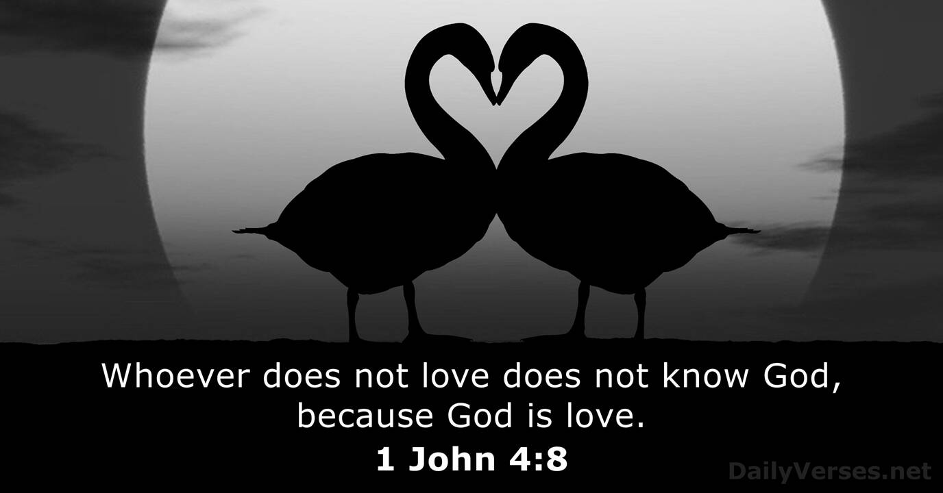 1 John 4 8 Bible Verse DailyVerses
