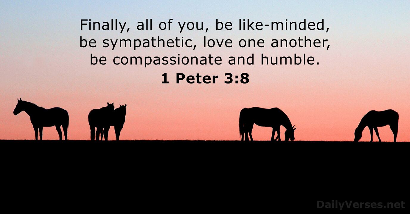 1 Peter 3 8 Bible Verse DailyVerses