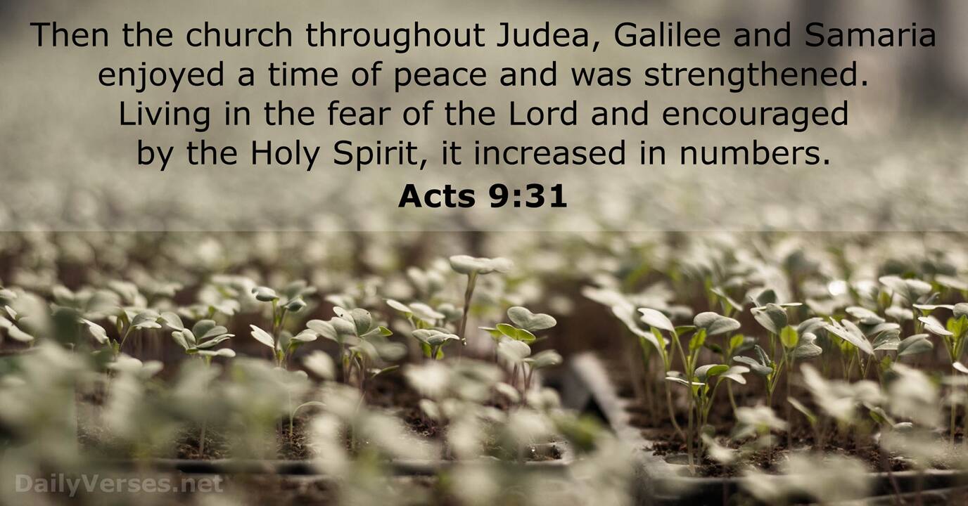 Acts 9 31 Bible Verse DailyVerses Acts 9 31 Bible Verse DailyVerses