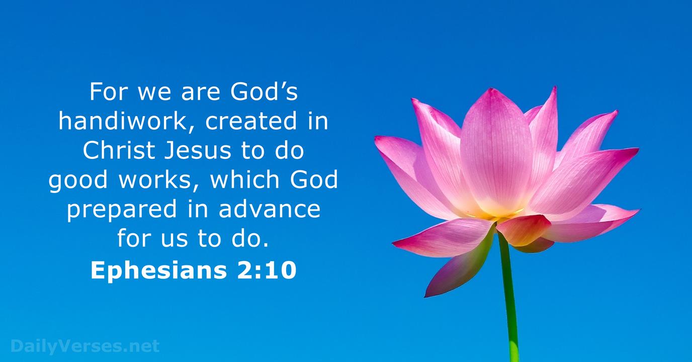 Ephesians 2 10 Bible Verse DailyVerses