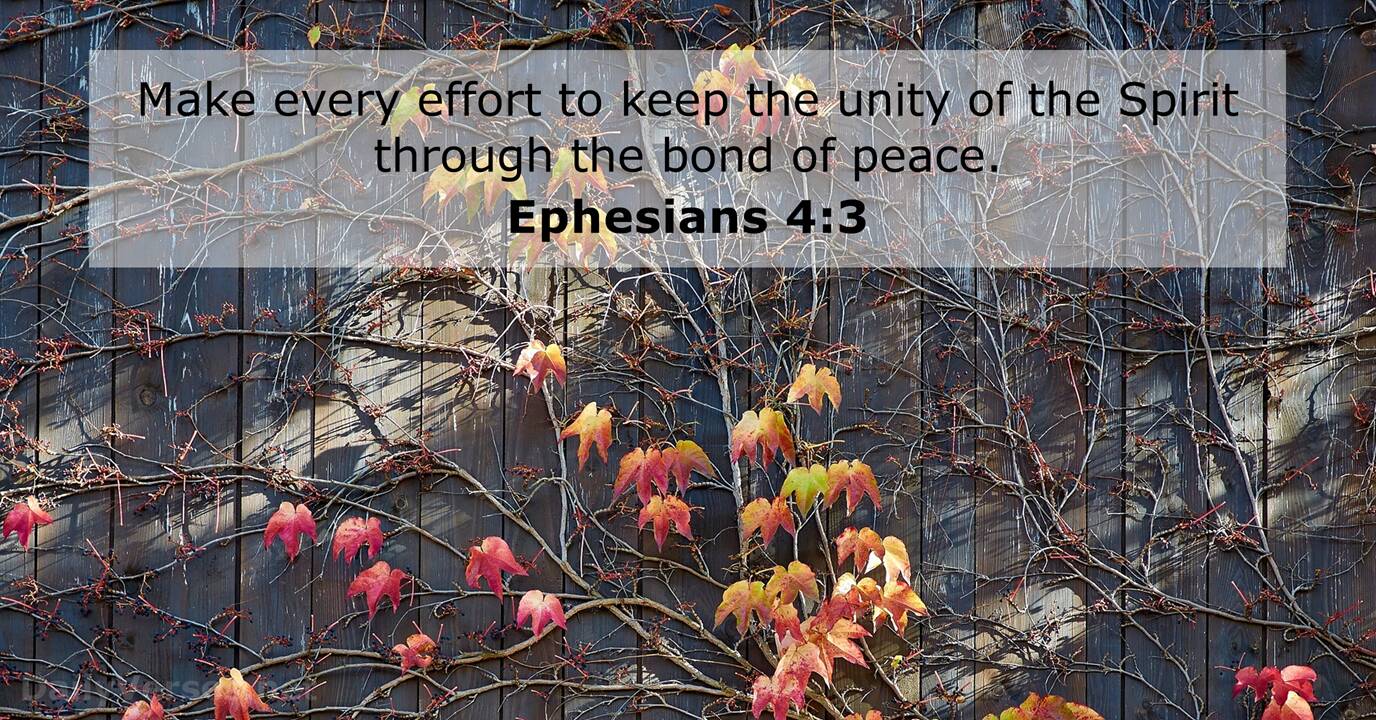Ephesians 4 3 Bible Verse DailyVerses