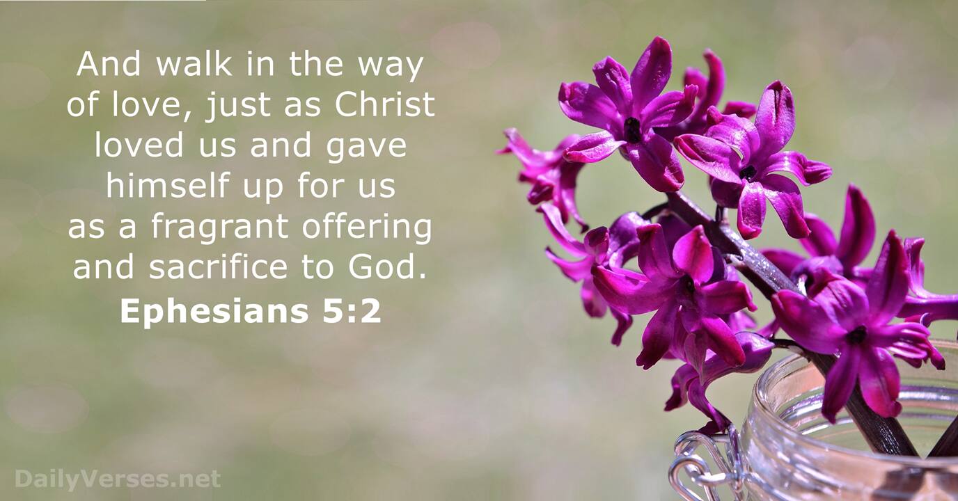 Ephesians 5 2 Bible Verse DailyVerses