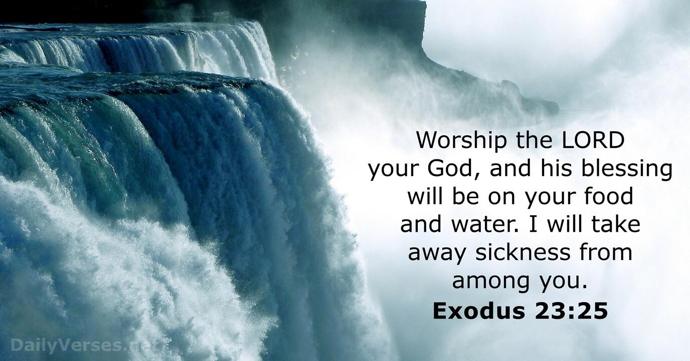 December 22 2016 Bible Verse Of The Day Exodus 23 25 DailyVerses December 22 2016 Bible Verse Of The Day Exodus 23 25 DailyVerses