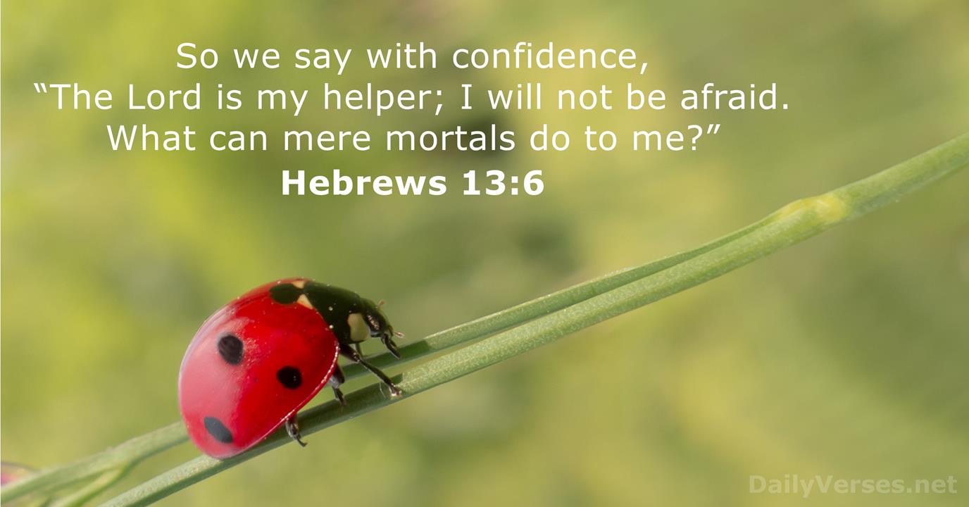 Hebrews 13 6 Bible Verse DailyVerses