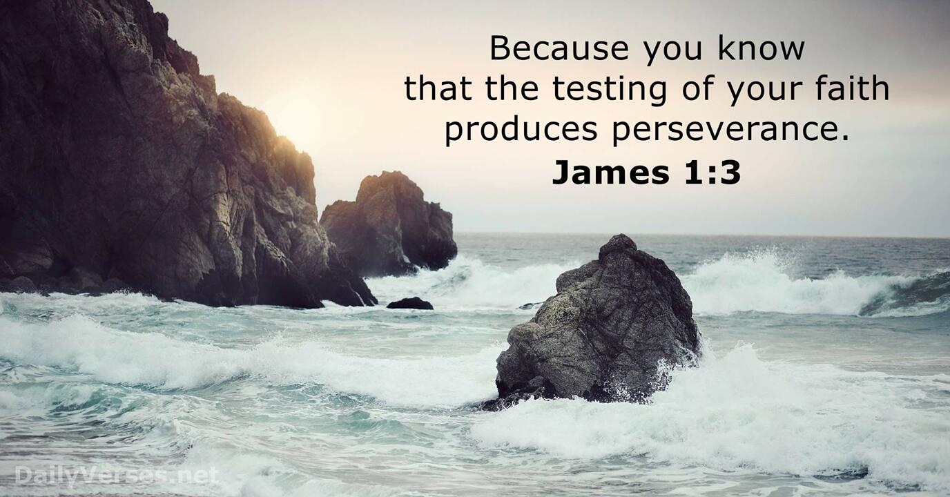 James 1 3 Bible Verse DailyVerses