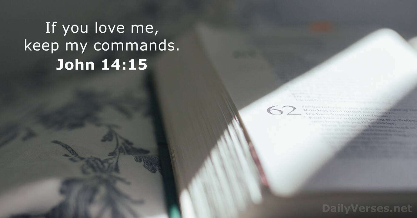 100 Bible Verses About John DailyVerses 100 Bible Verses About John DailyVerses