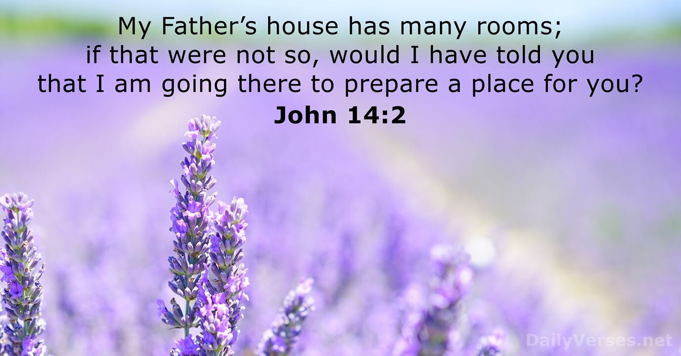 John 14 2 Bible Verse DailyVerses