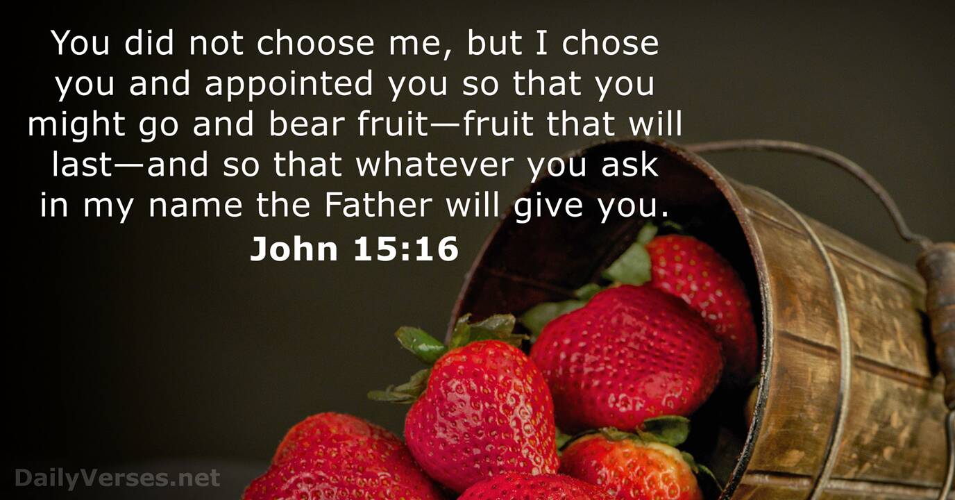 John 15 16 Bible Verse DailyVerses