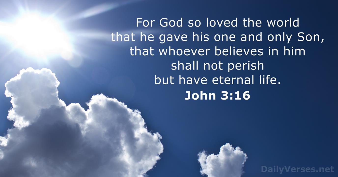 John 3 16 Bible Verse DailyVerses