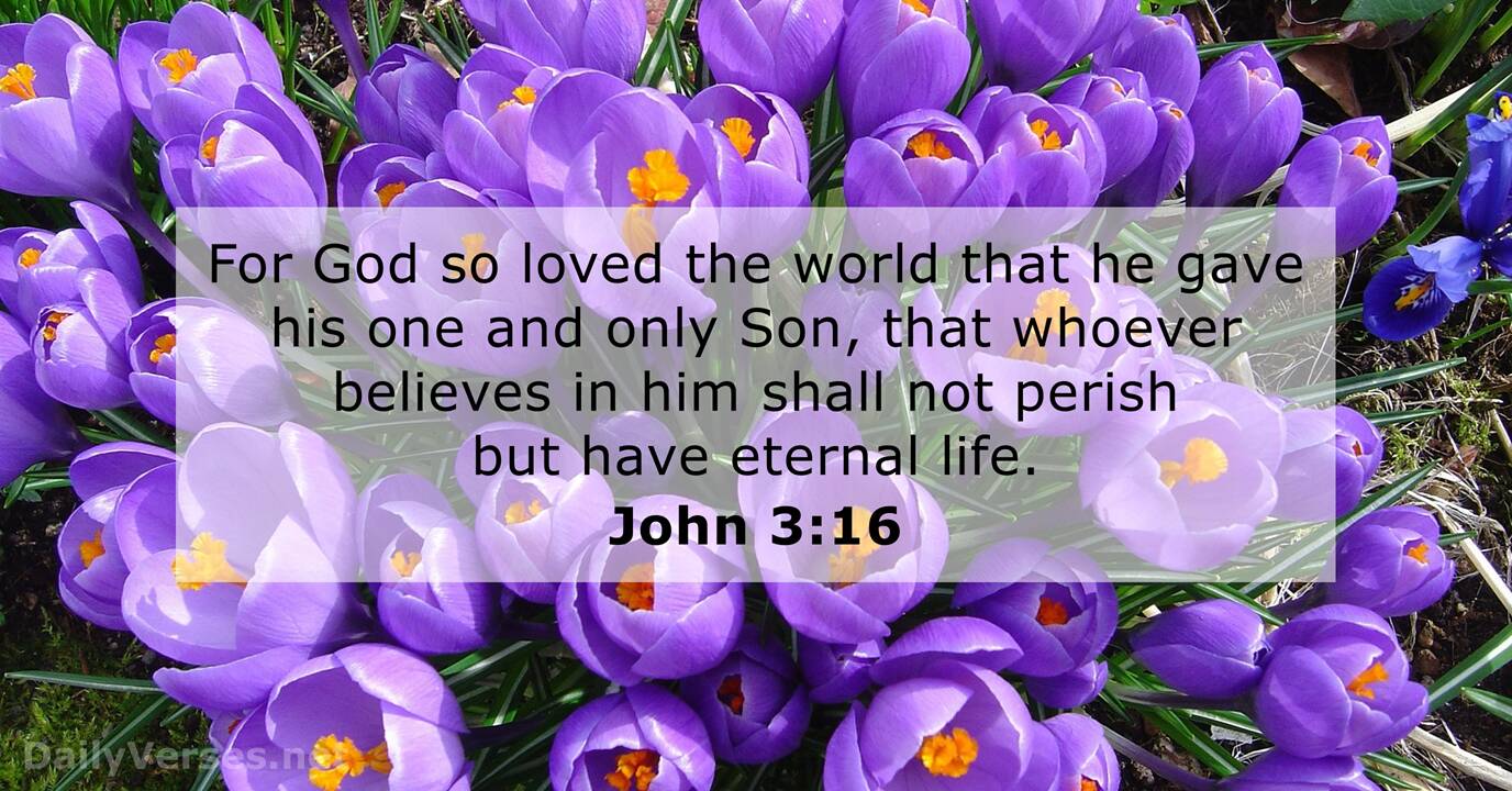 April 23 2015 Bible Verse Of The Day John 3 16 DailyVerses
