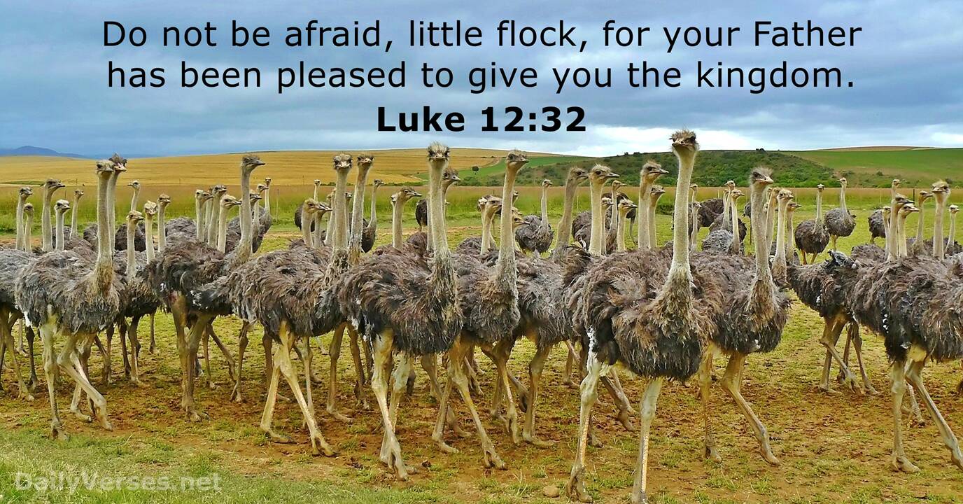 Luke 12 32 Bible Verse DailyVerses Luke 12 32 Bible Verse DailyVerses