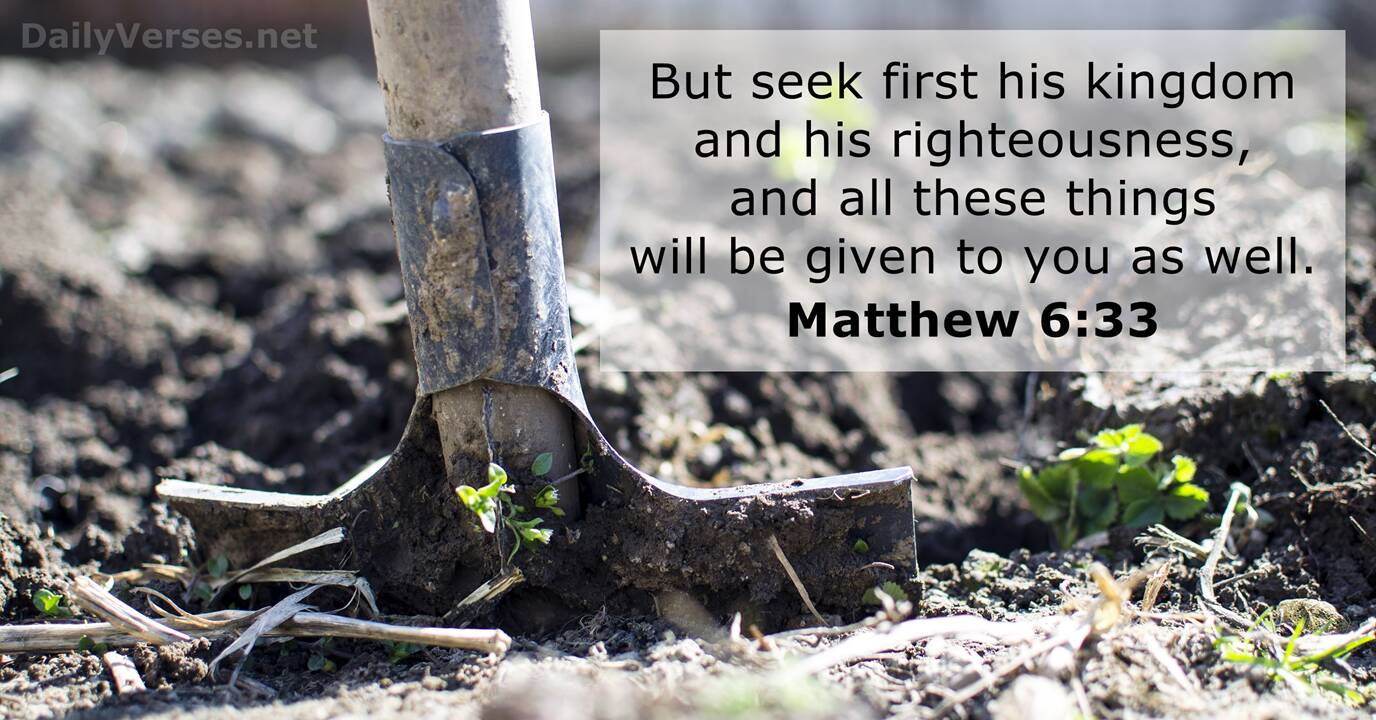 Matthew 6 33 Bible Verse DailyVerses Matthew 6 33 Bible Verse DailyVerses