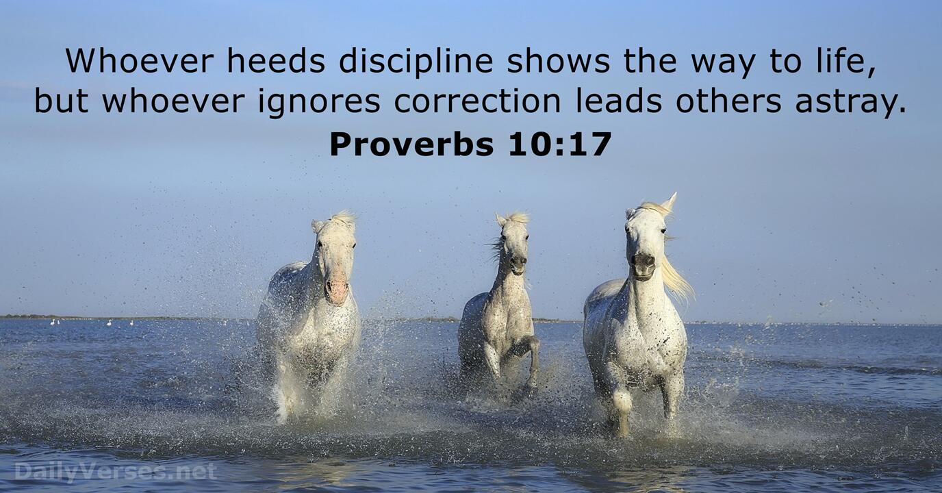 Proverbs 10 17 Bible Verse DailyVerses Proverbs 10 17 Bible Verse DailyVerses